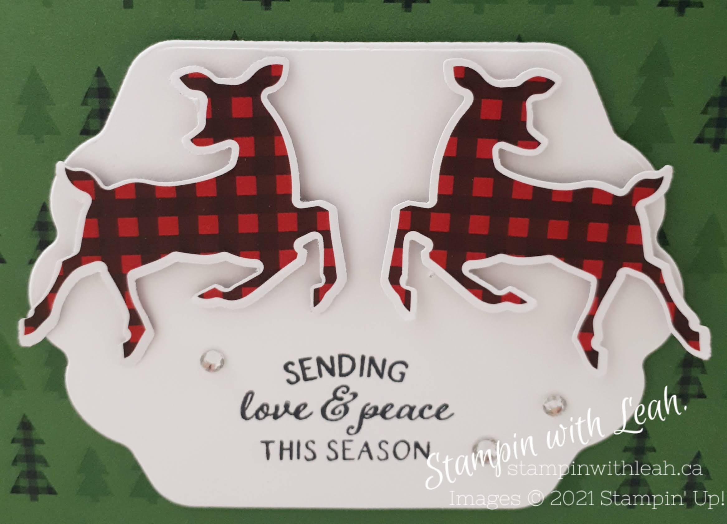 Peaceful Prints DSP Gift Bag | Stampin With Leah