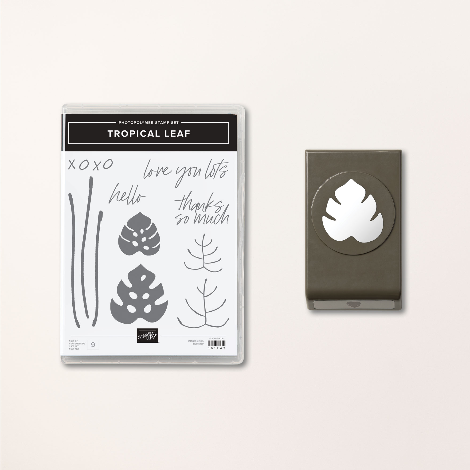 Tropical Leaf Card Class To Go | Stampin With Leah
