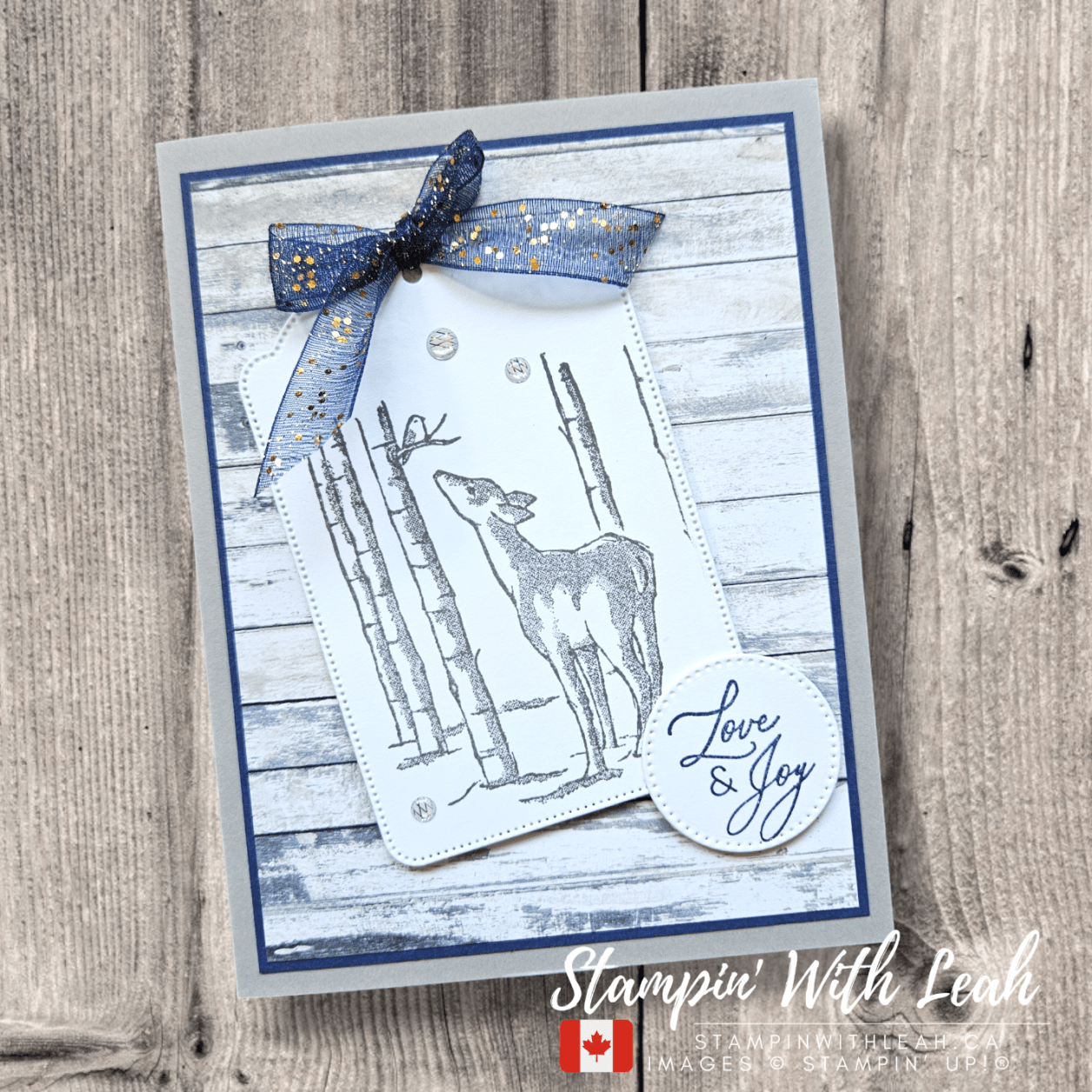 Graceful Deer Card Class To Go | Stampin With Leah