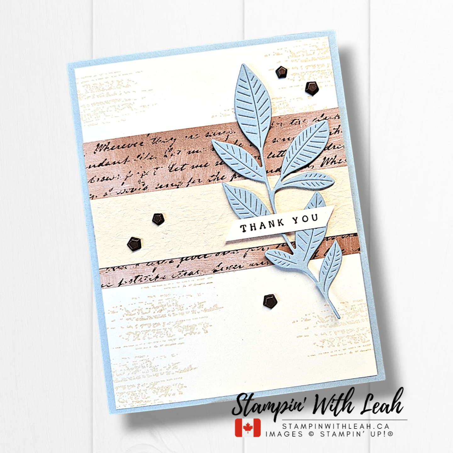 HSS #479 | Nature Walk Thank You Card + Nature Walk Mega Stamp Camp ...